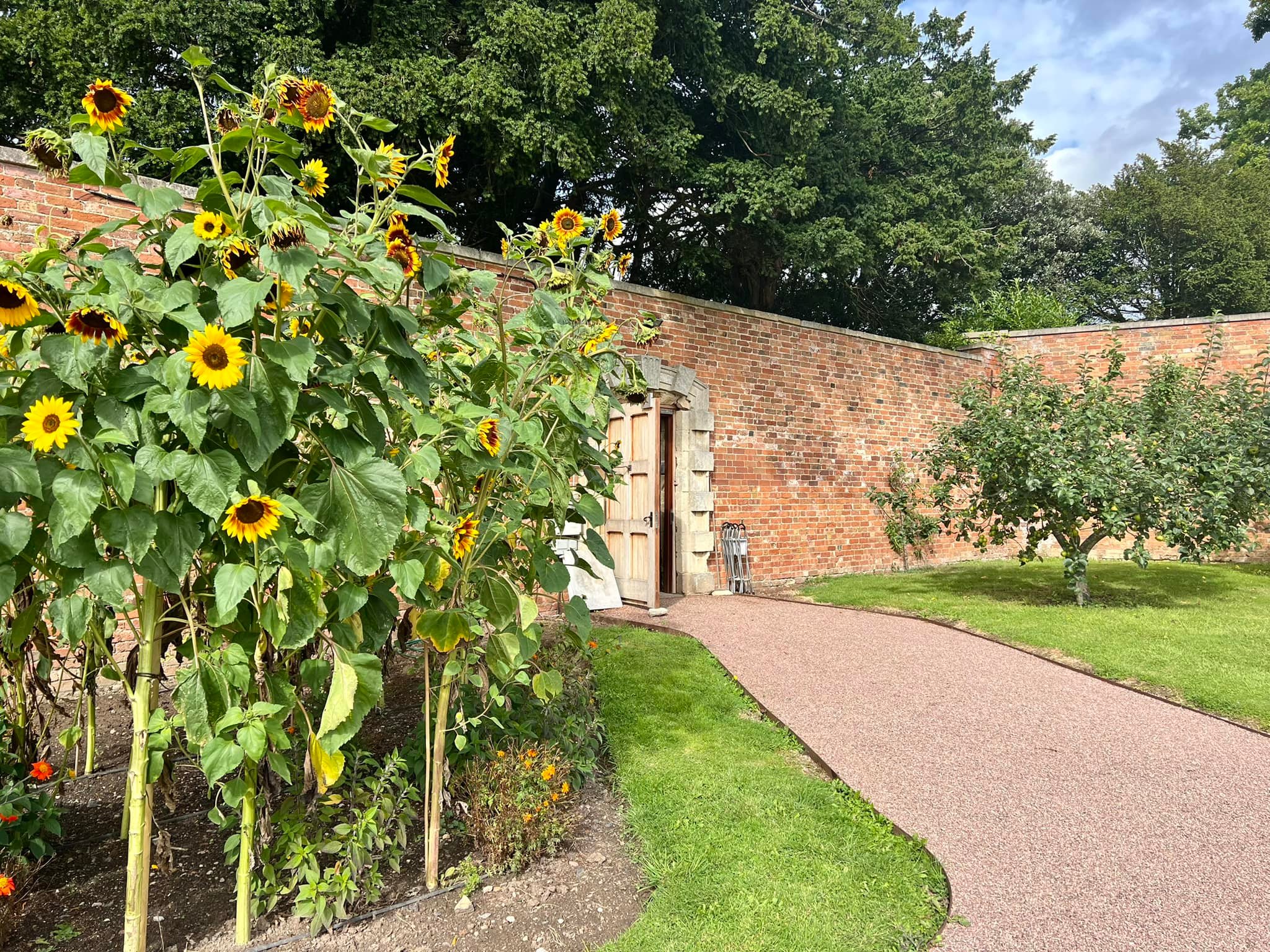 Accessibility at The Walled Gardens at Croome Court – The Walled ...